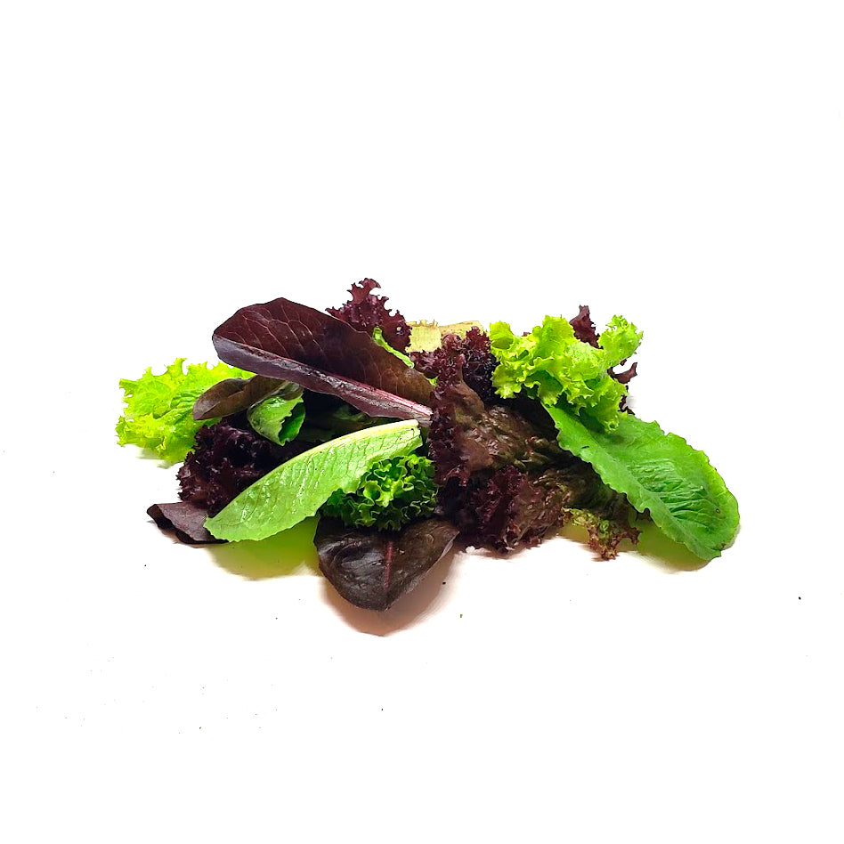 MIX DE LECHUGAS – Huerta de las Delicias