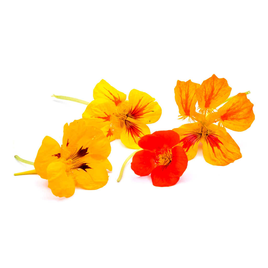 CAPUCHINAS – Huerta de las Delicias